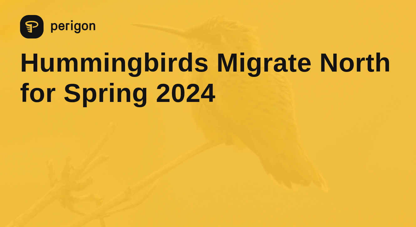 Hummingbirds Migrate North for Spring 2024 | Perigon