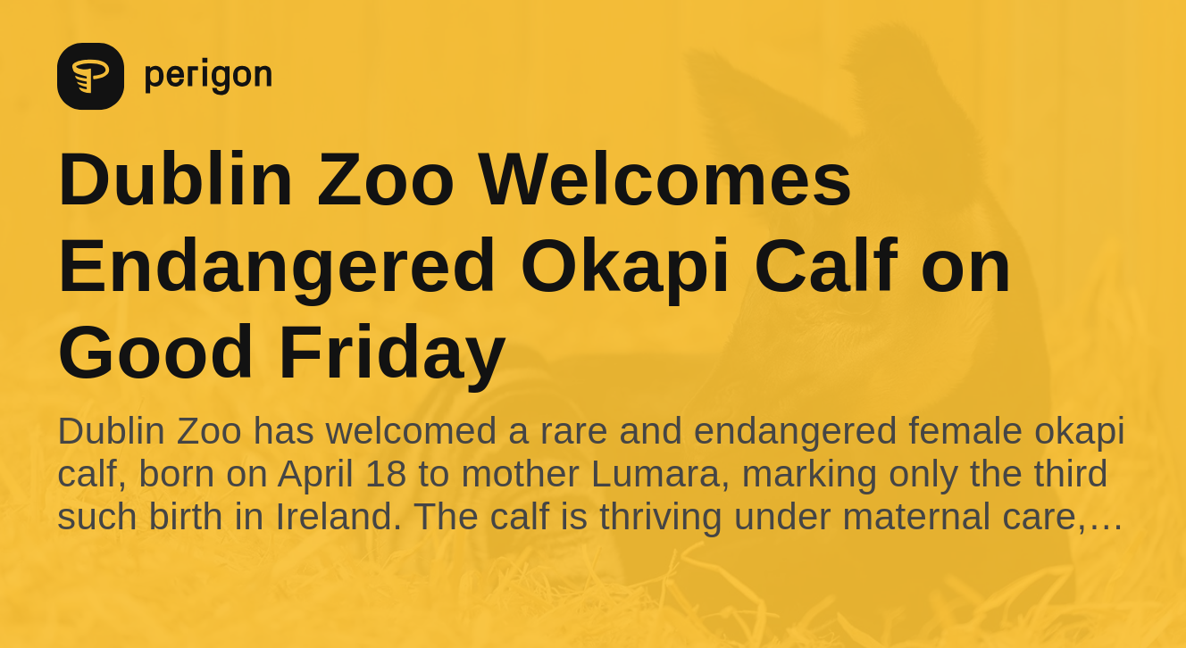 Dublin Zoo Welcomes Endangered Okapi Calf on Good Friday | Perigon