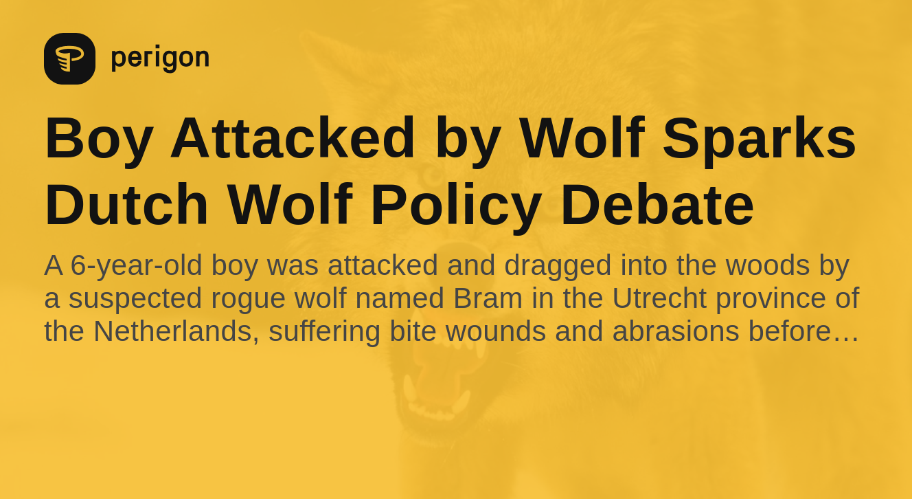 Boy Attacked by Wolf Sparks Dutch Wolf Policy Debate | Perigon
