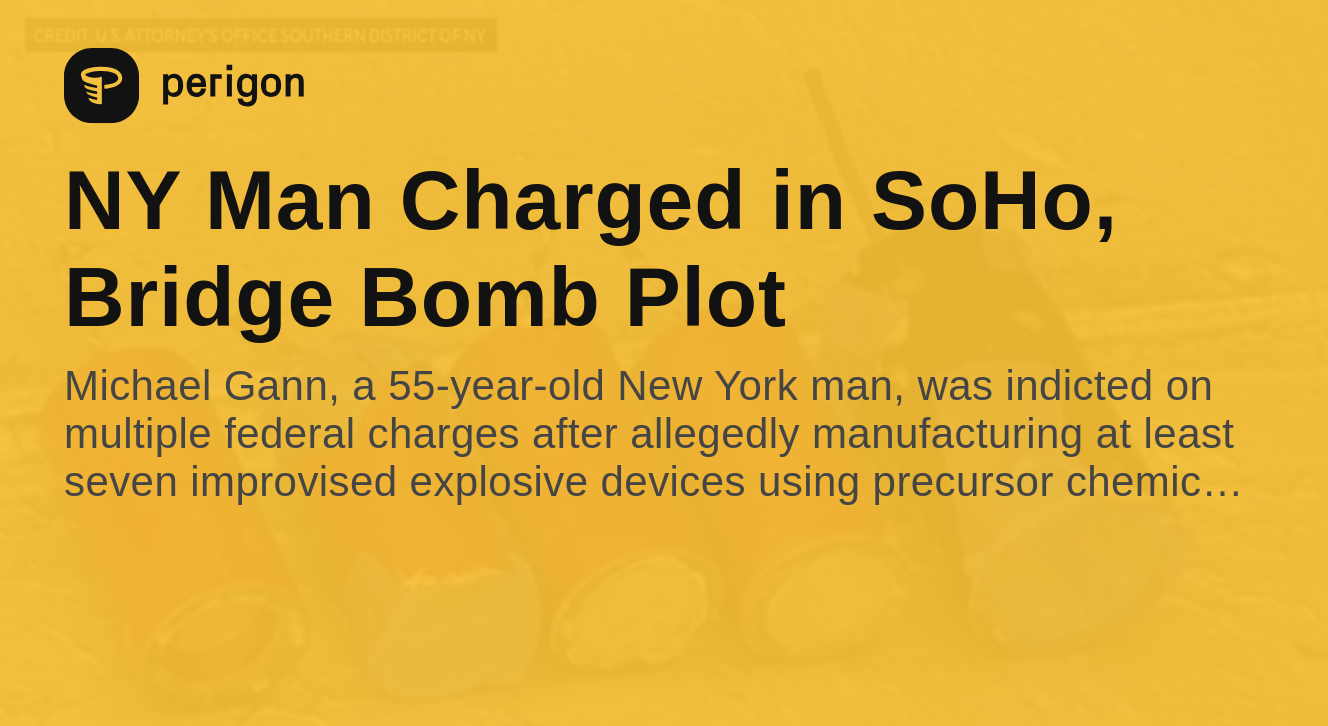 NY Man Charged in SoHo, Bridge Bomb Plot | Perigon