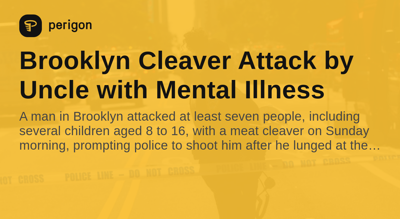 Brooklyn Cleaver Attack by Uncle with Mental Illness | Perigon