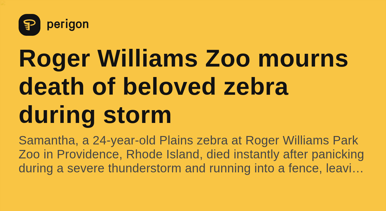 Roger Williams Zoo mourns death of beloved zebra during storm | Perigon