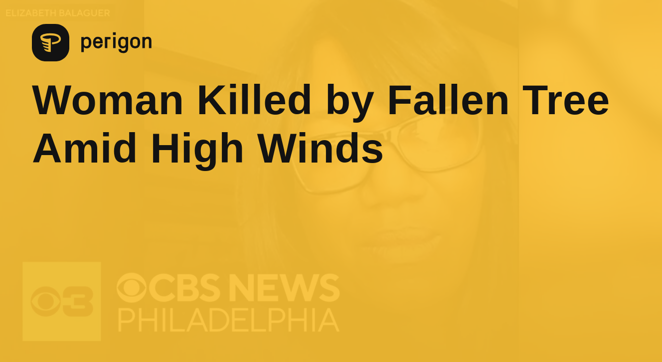 Woman Killed by Fallen Tree Amid High Winds | Perigon