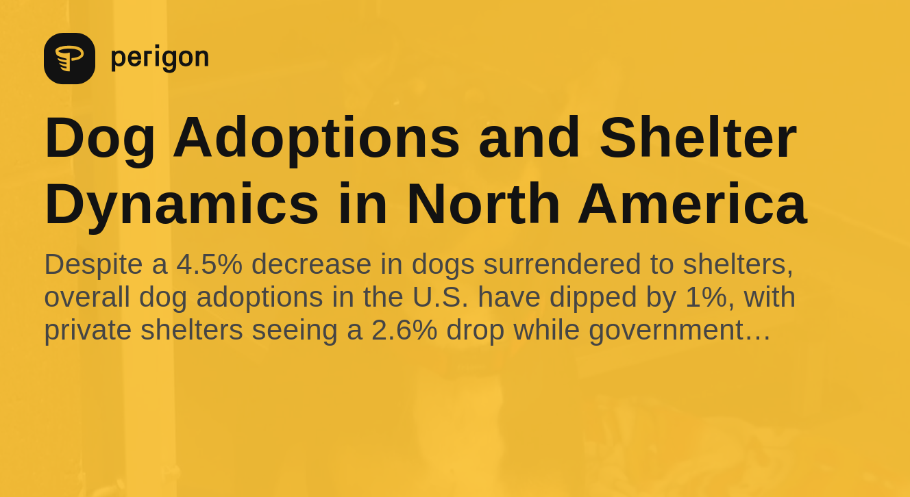 Dog Adoptions and Shelter Dynamics in North America | Perigon