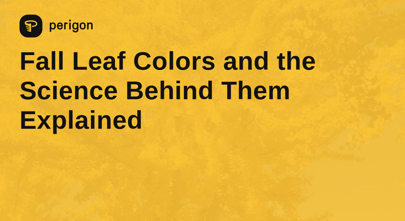 Fall Leaf Colors and the Science Behind Them Explained | Perigon
