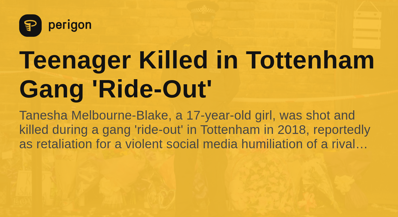 Teenager Killed in Tottenham Gang 'Ride-Out' | Perigon