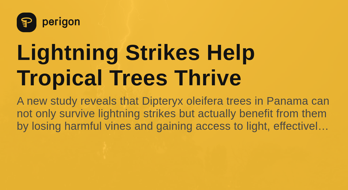 Lightning Strikes Help Tropical Trees Thrive | Perigon