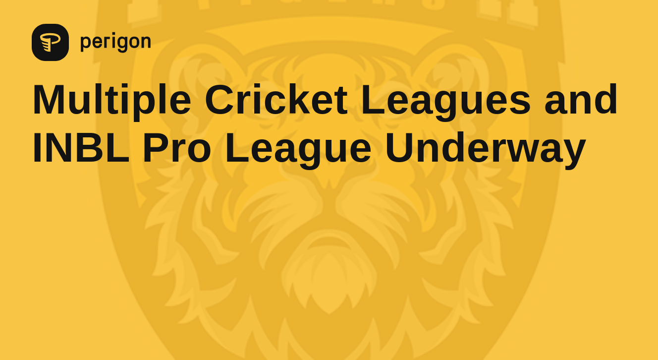 Multiple Cricket Leagues and INBL Pro League Underway | Perigon