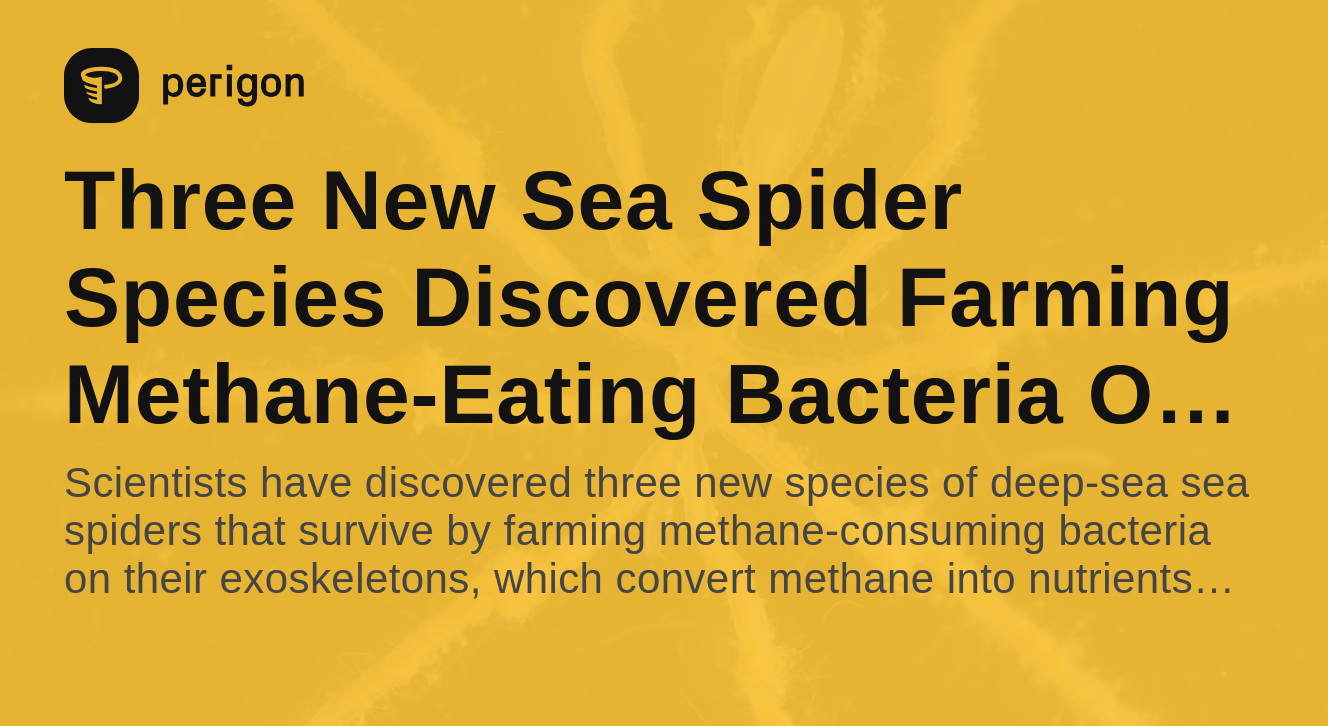 Three New Sea Spider Species Discovered Farming Methane-Eating Bacteria ...