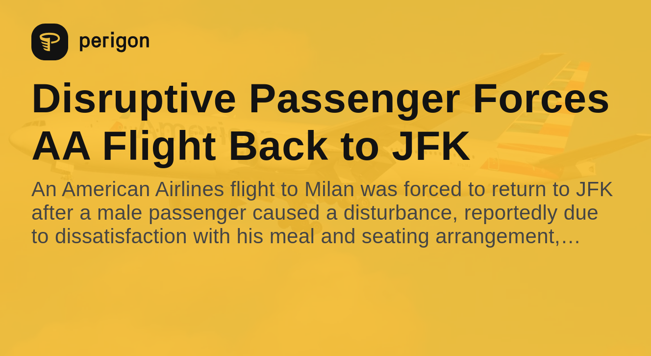 Disruptive Passenger Forces AA Flight Back to JFK | Perigon