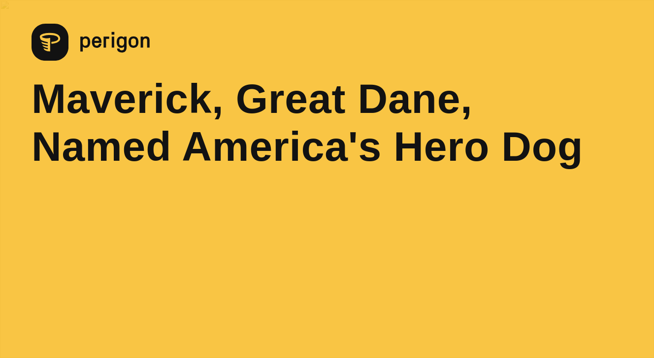 Maverick, Great Dane, Named America's Hero Dog | Perigon