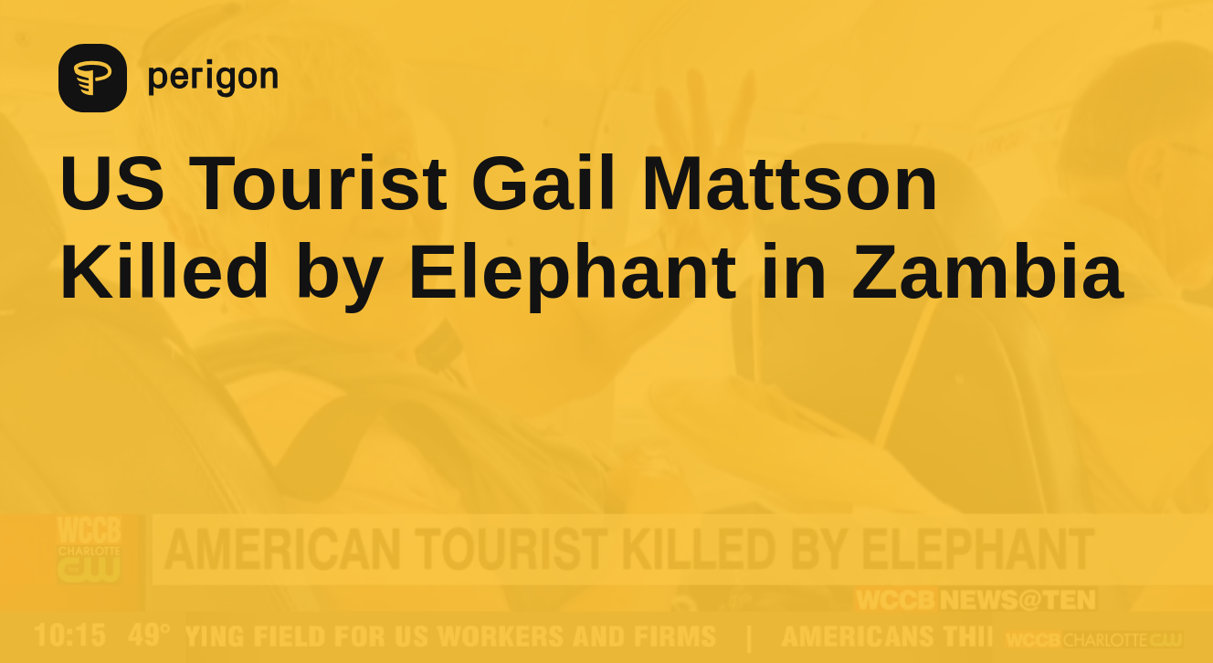 US Tourist Gail Mattson Killed by Elephant in Zambia | Perigon