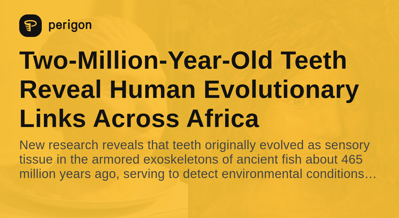 Two-Million-Year-Old Teeth Reveal Human Evolutionary Links Across ...