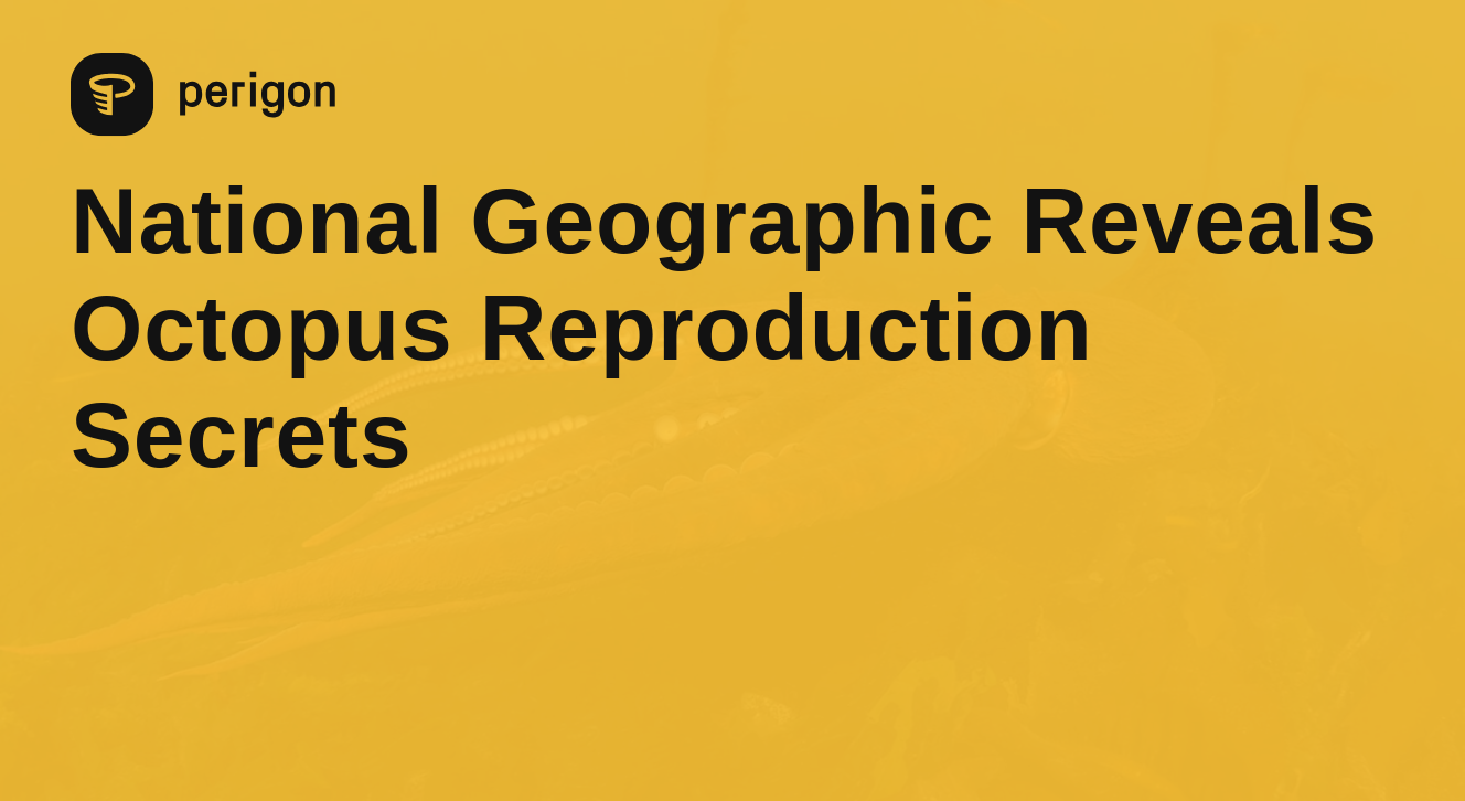 National Geographic Reveals Octopus Reproduction Secrets | Perigon