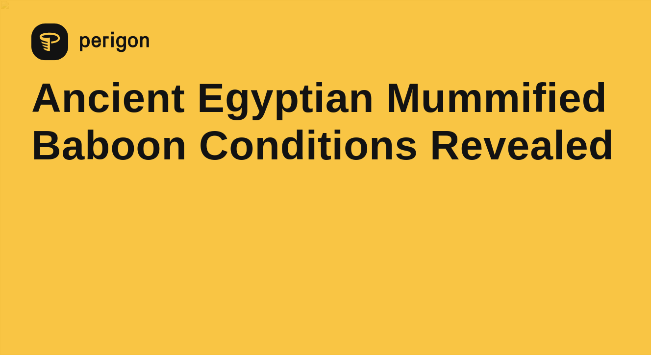 Ancient Egyptian Mummified Baboon Conditions Revealed | Perigon