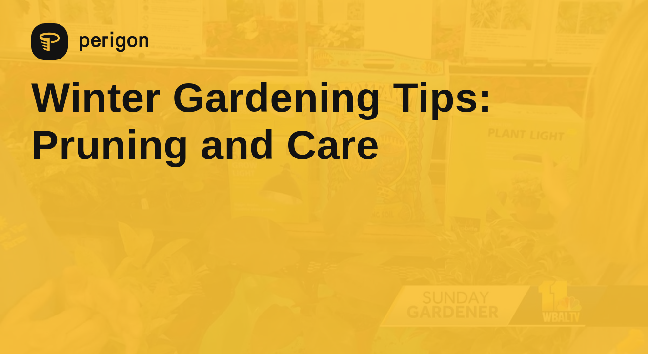 Winter Gardening Tips: Pruning and Care | Perigon