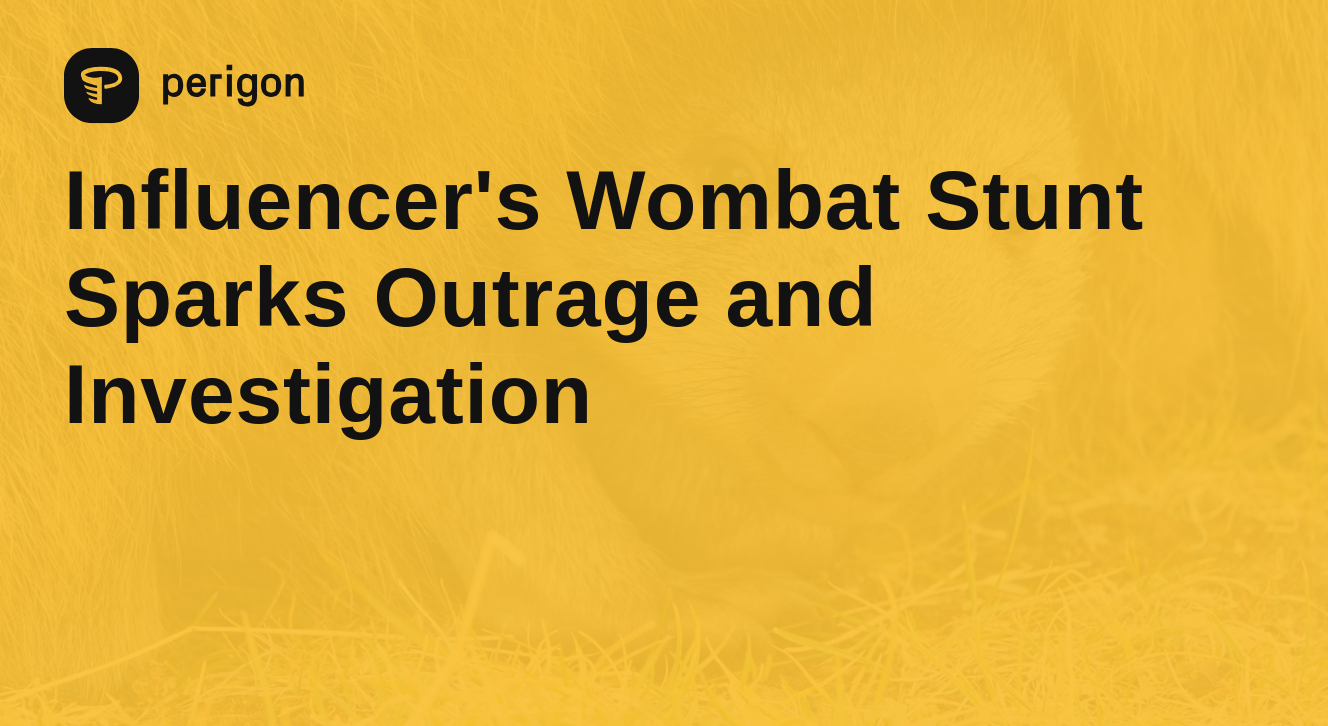 Influencer's Wombat Stunt Sparks Outrage and Investigation | Perigon