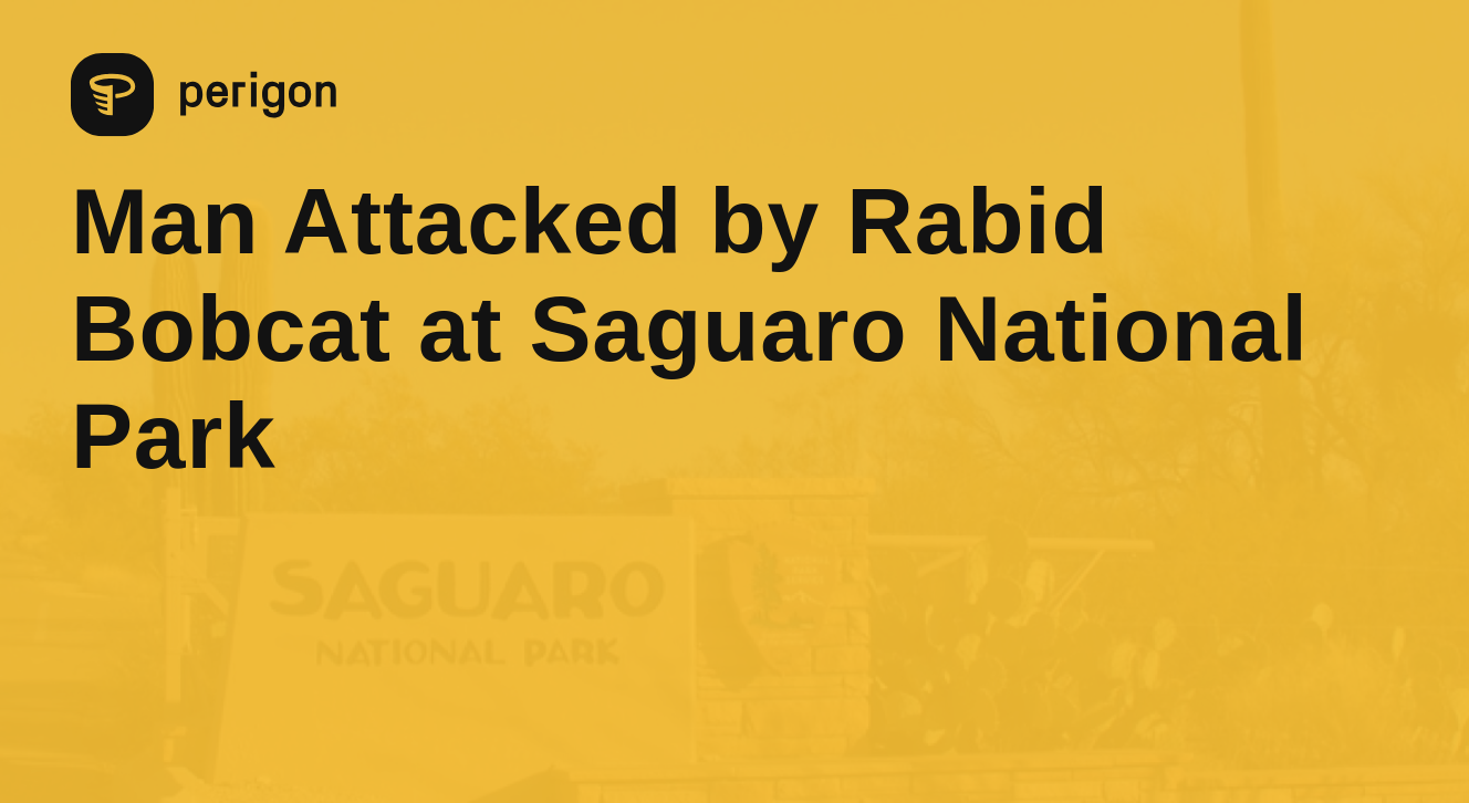 Man Attacked by Rabid Bobcat at Saguaro National Park | Perigon