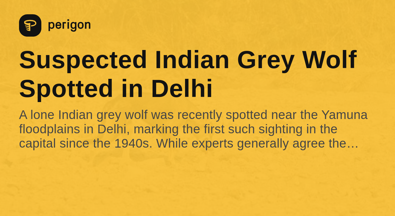 Suspected Indian Grey Wolf Spotted in Delhi | Perigon