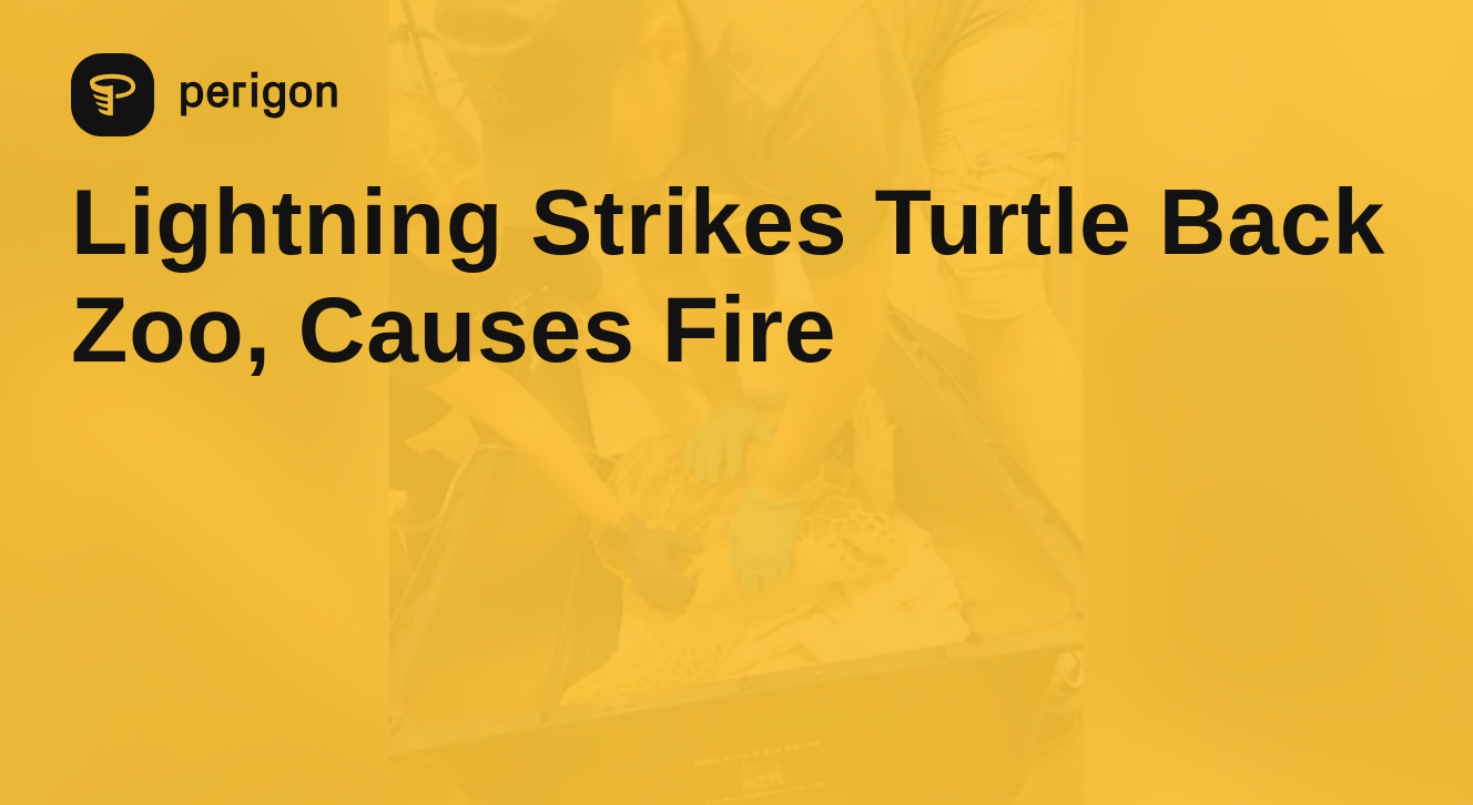 Lightning Strikes Turtle Back Zoo, Causes Fire | Perigon