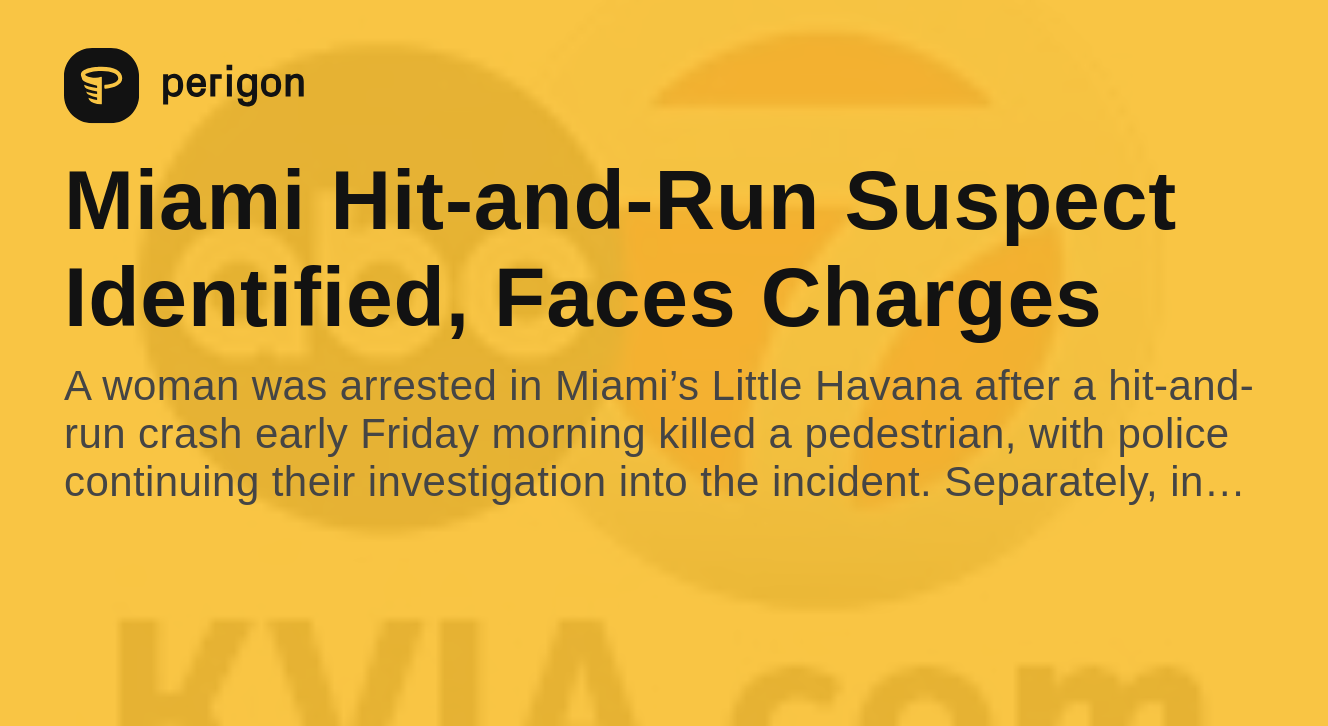 Miami Hit-and-Run Suspect Identified, Faces Charges | Perigon