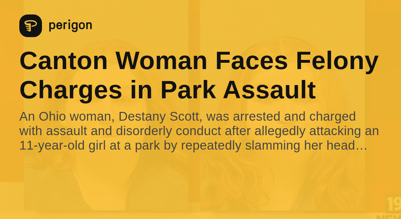 Canton Woman Faces Felony Charges in Park Assault | Perigon
