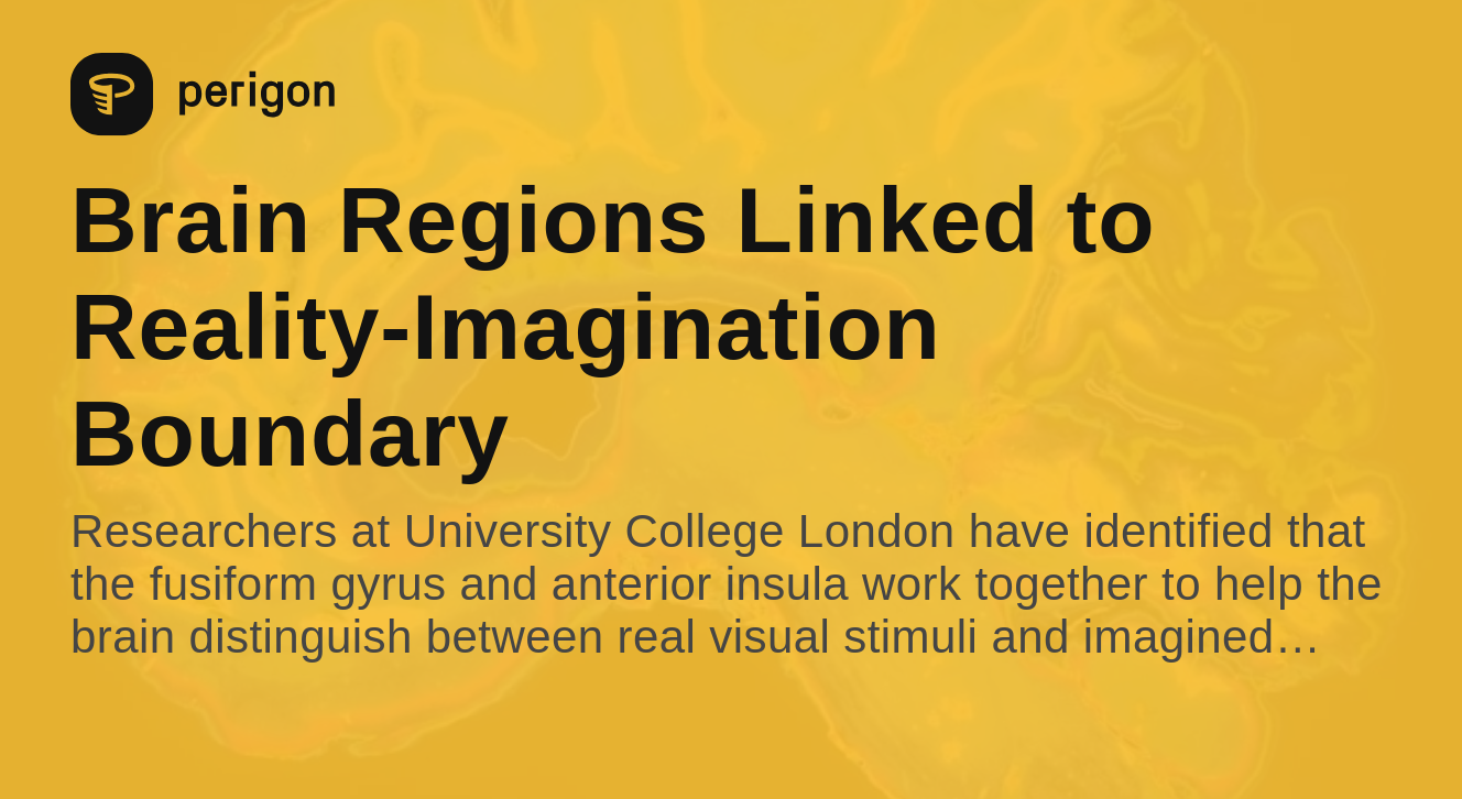 Brain Regions Linked to Reality-Imagination Boundary | Perigon
