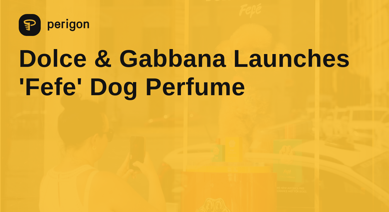 Dolce & Gabbana Launches 'Fefe' Dog Perfume | Perigon