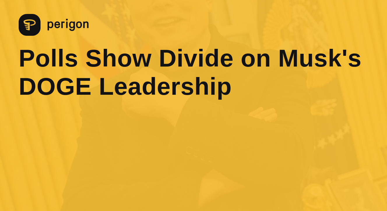 Polls Show Divide on Musk's DOGE Leadership | Perigon