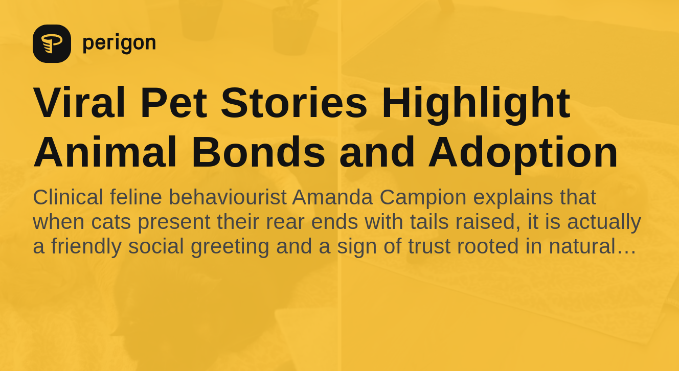 Viral Pet Stories Highlight Animal Bonds and Adoption | Perigon