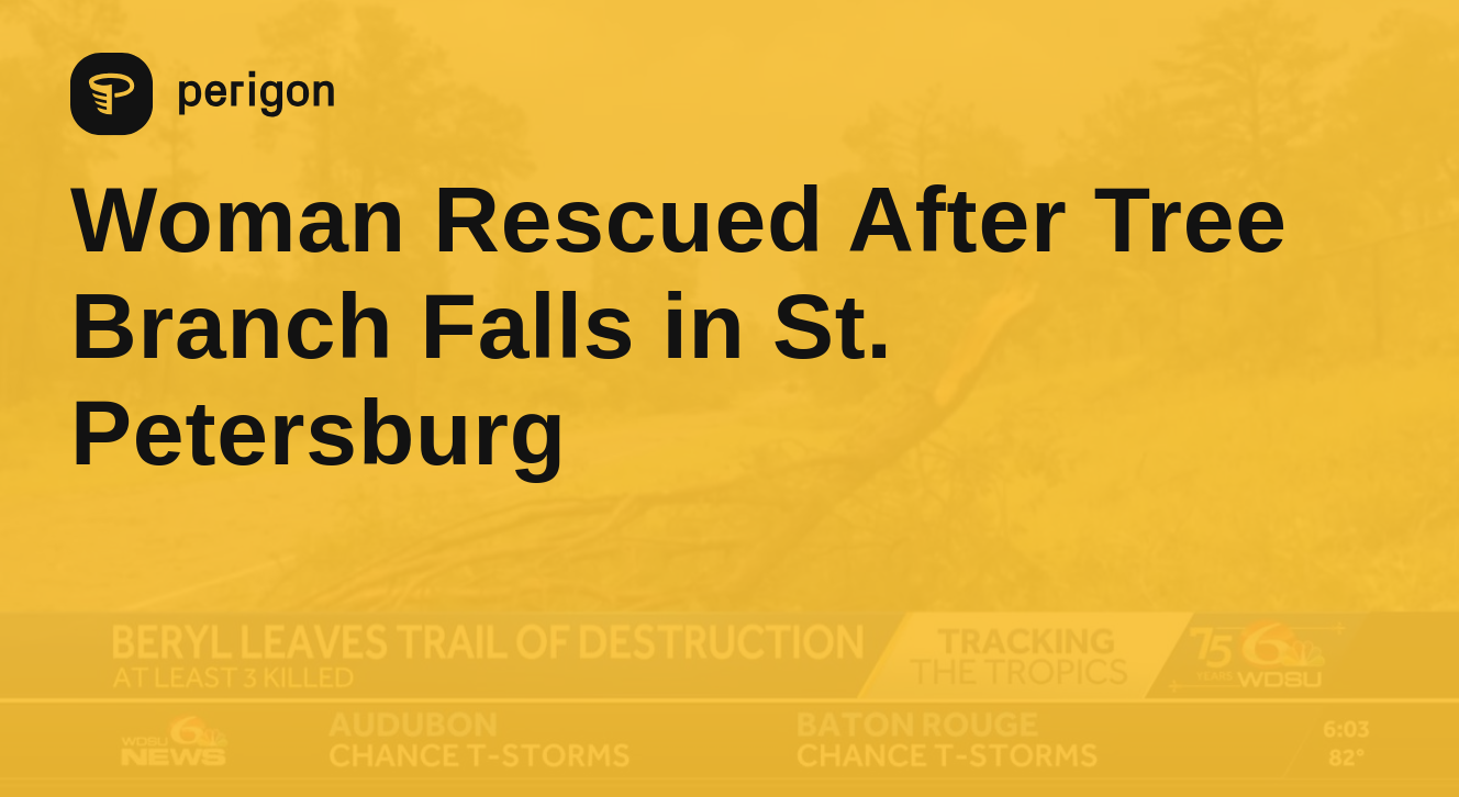 Woman Rescued After Tree Branch Falls in St. Petersburg | Perigon