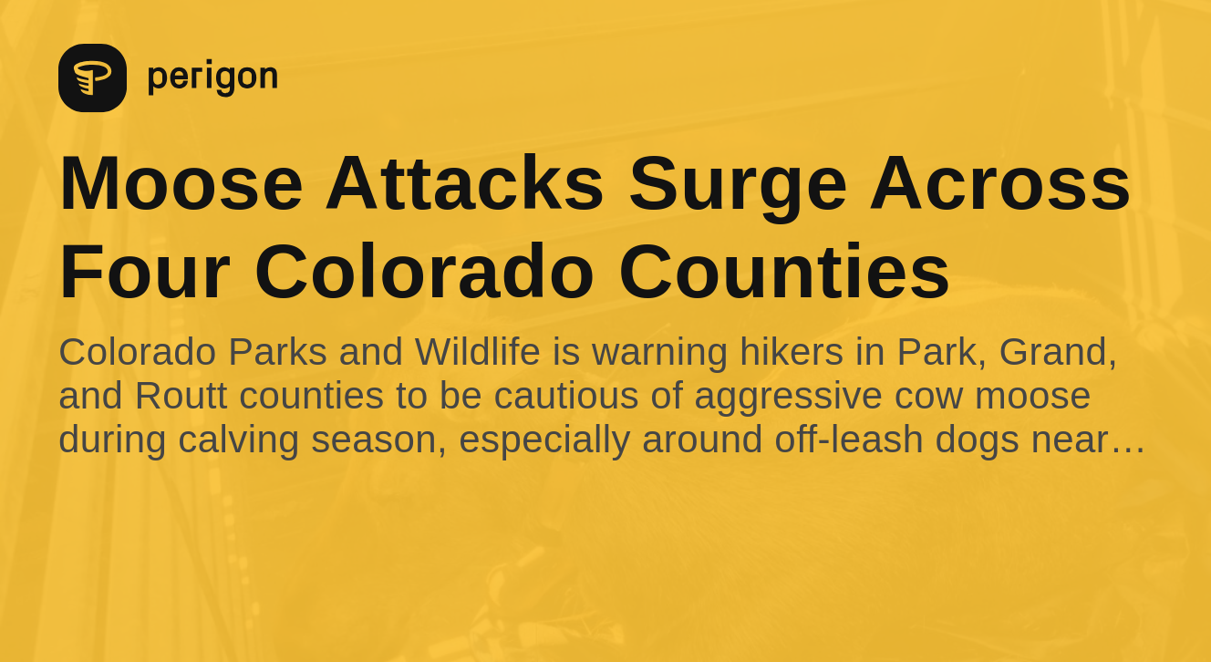 Moose Attacks Surge Across Four Colorado Counties | Perigon